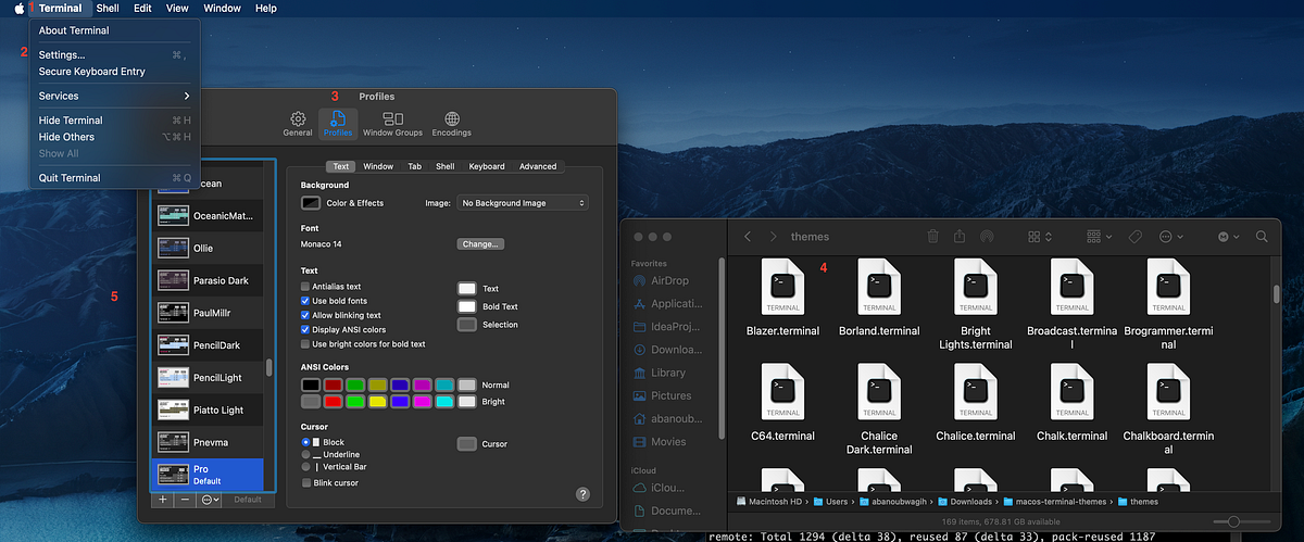 Getting Fancy Color Schemes on a Mac OSX Terminal | by abanoub wagih | Jan, 2024 | Medium