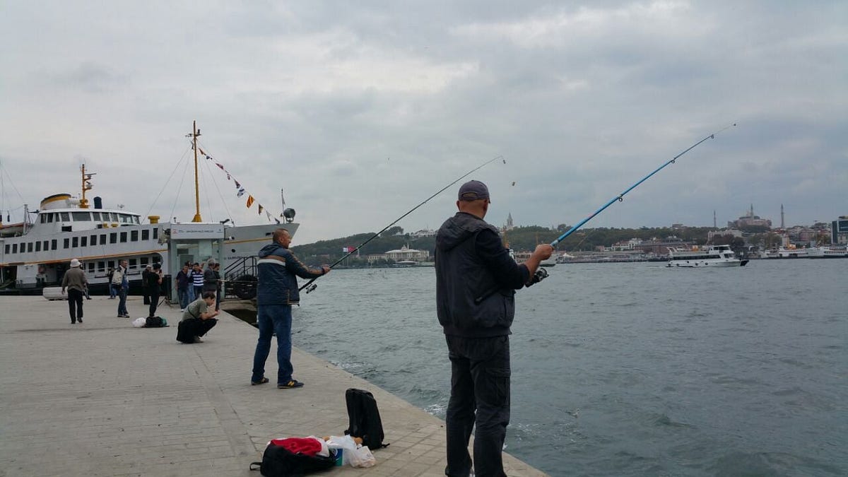 A Beginner's Guide to Fishing. From novice to expert. | Medium