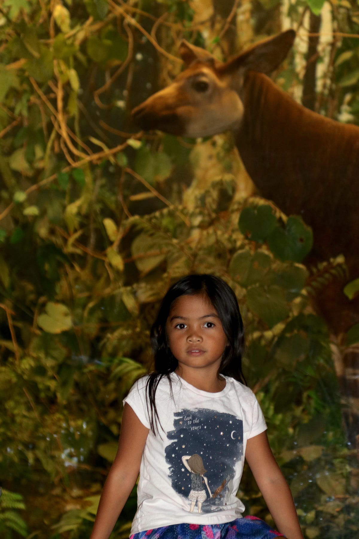 Natural History Museum | by Danielle Bear | Medium