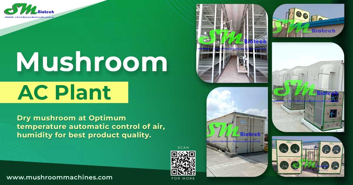 Mushroom AC Plant-Mushroom Machines | by garima nagarkoti | Medium