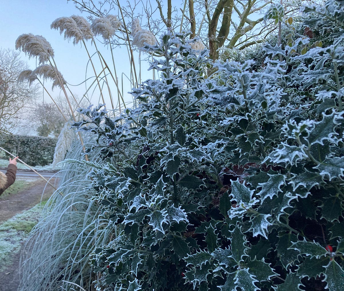 Silver Through The Seasons | Penny Grubb | SNAPSHOTS