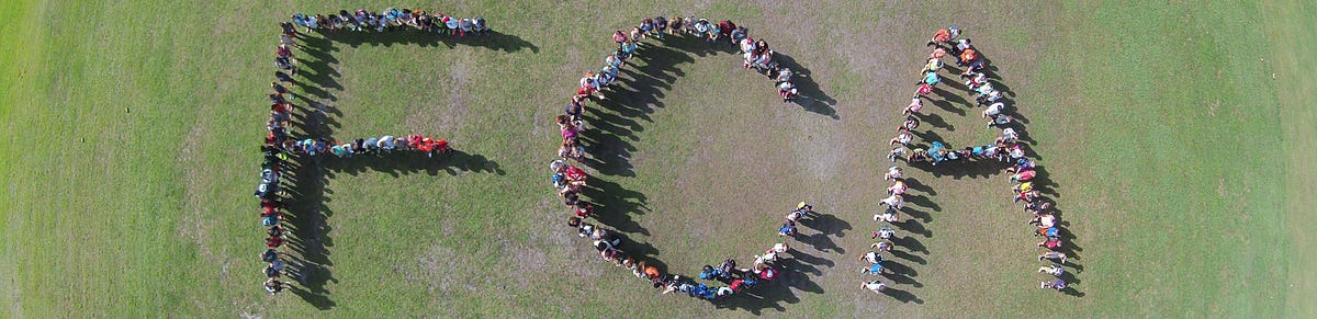 A Summer Through The Lens. In honor of World Photography Day, we… | by Carolinas FCA | Medium