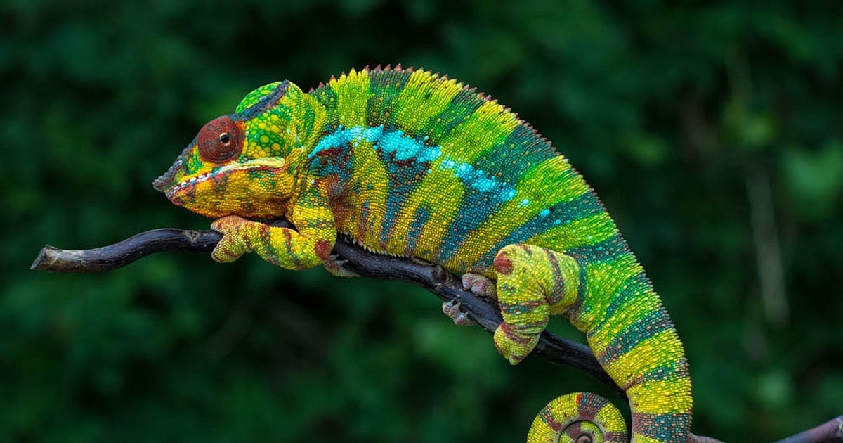 Implement Dark Mode In Flutter Using Riverpod By Kevin Vishal Medium