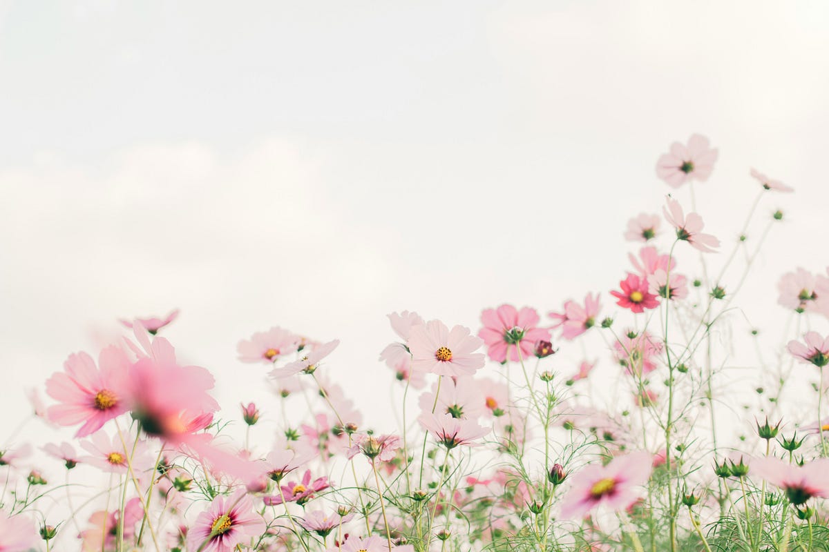 Chiquitita, the song that found me ten Octobers later | by Kalani ...