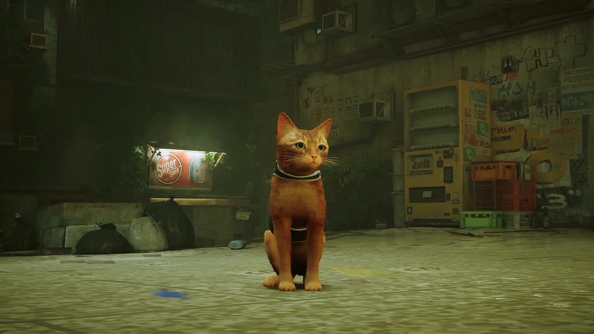 Immersive Gaming Experiences: Stray | by Strayplaystation | Medium