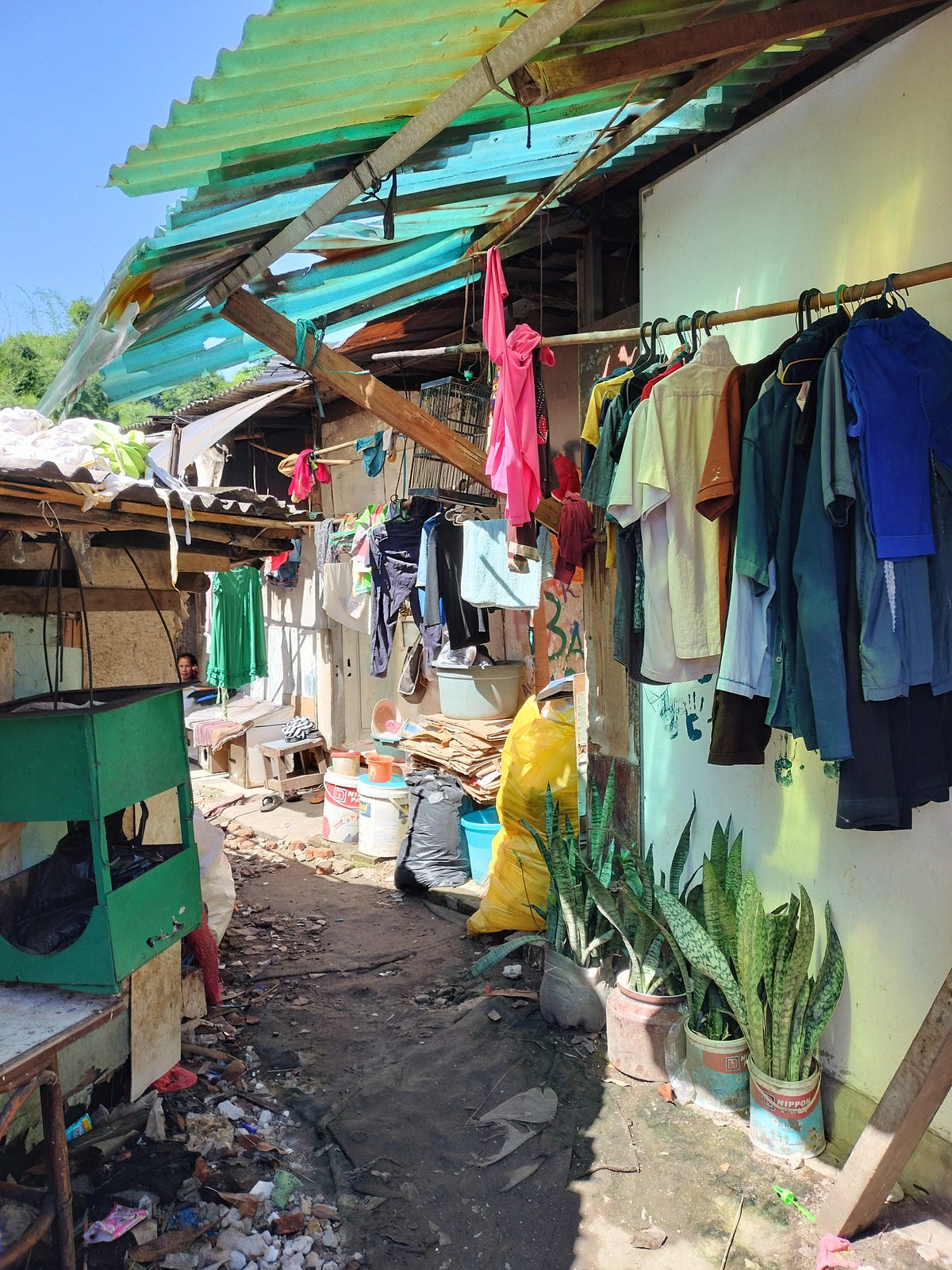 Can free education change the lives of marginalised communities? | by ...