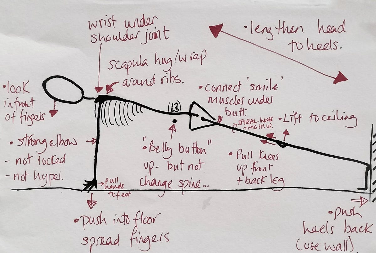 Top Tips for Planks.. Read this to be the next World Record… | by Lisa ...