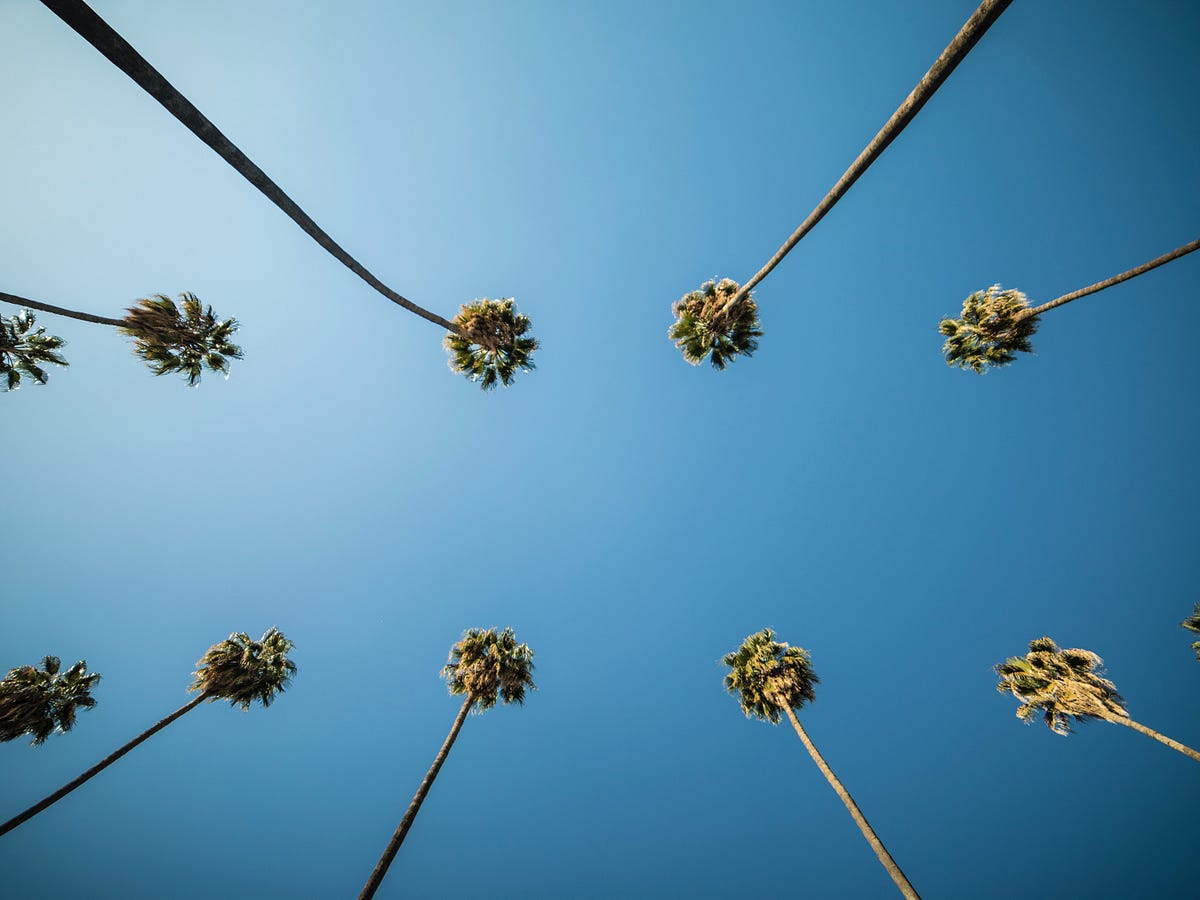 Dr. Colette Nichols Discusses Homelessness Statistics in LA | by Dr ...