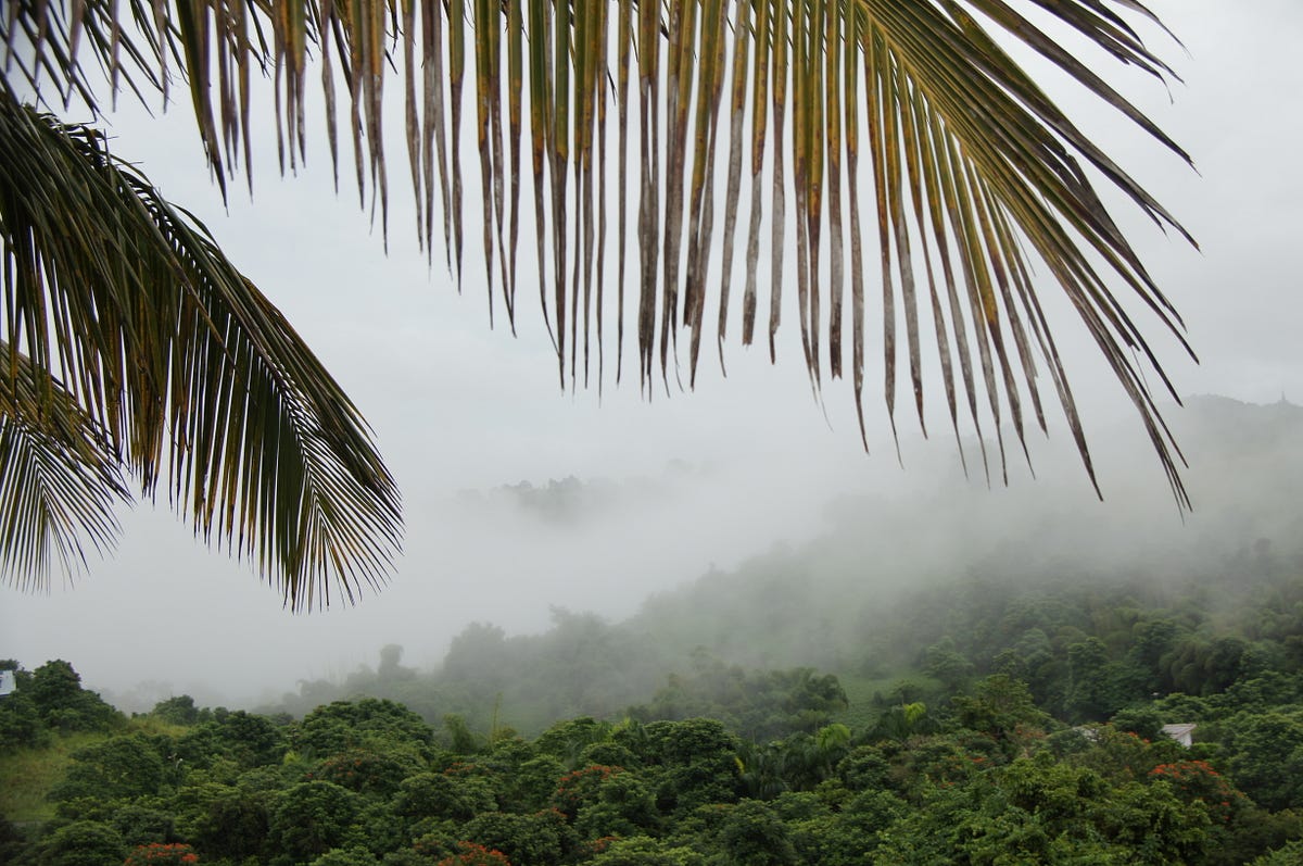 Mad about the Mist. Rainbows are so passé | by Ronald C. Flores-Gunkle ...