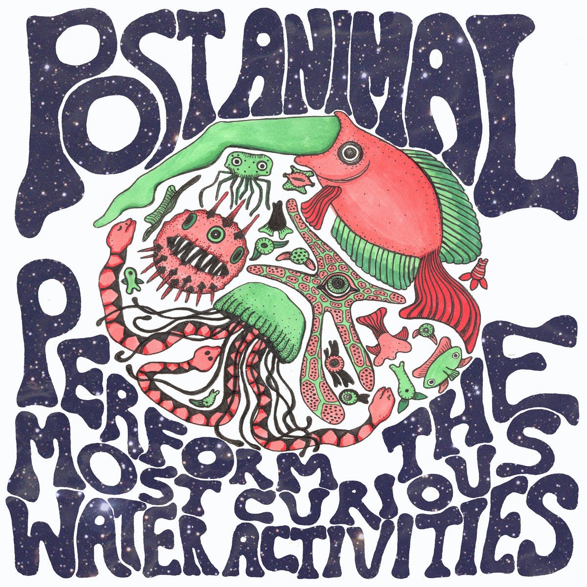 Review: Post Animal’s Post Animal Perform the Most Curious Water ...