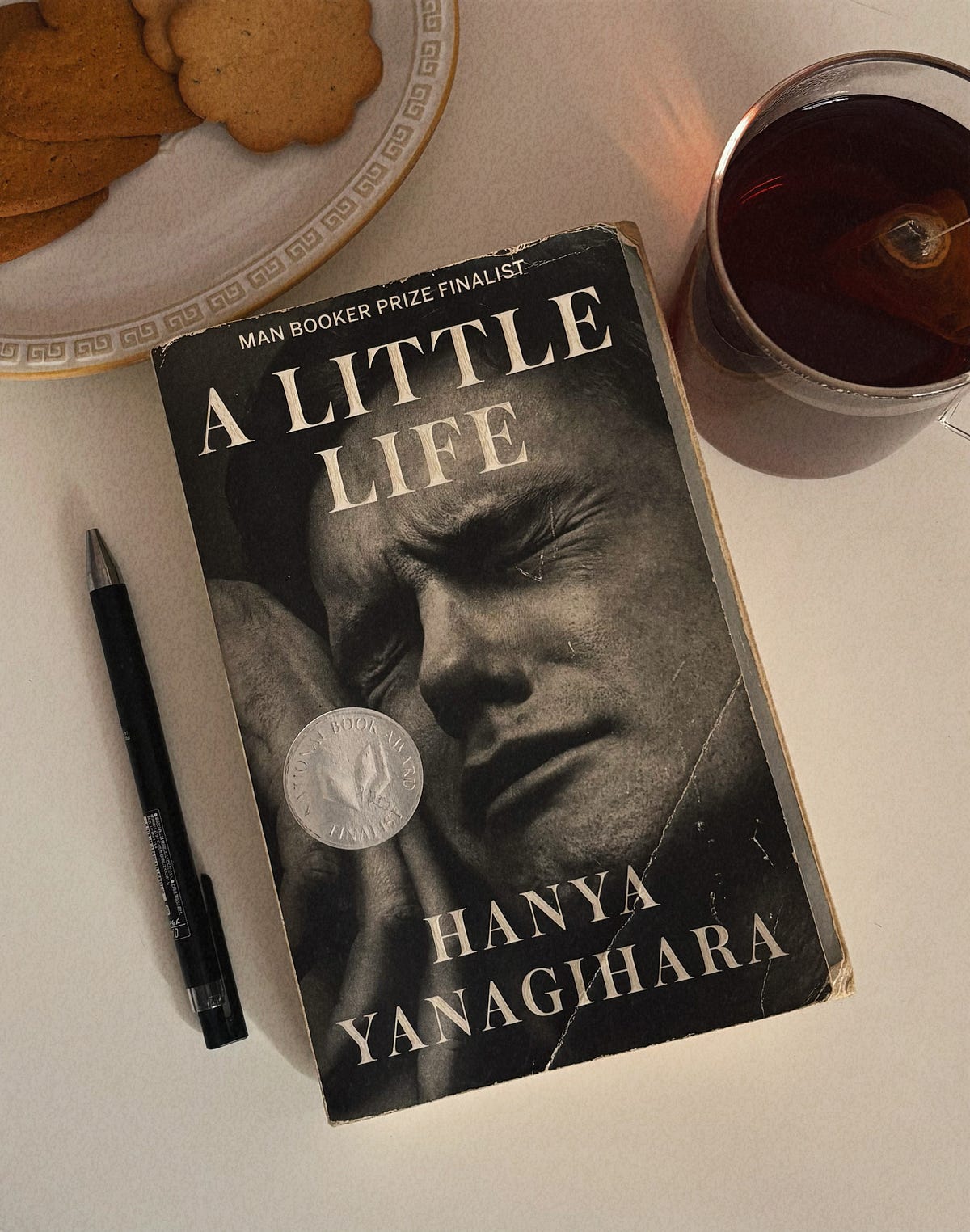 Book Review — A Little Life. (Contains spoilers. Scroll down for… | by ...
