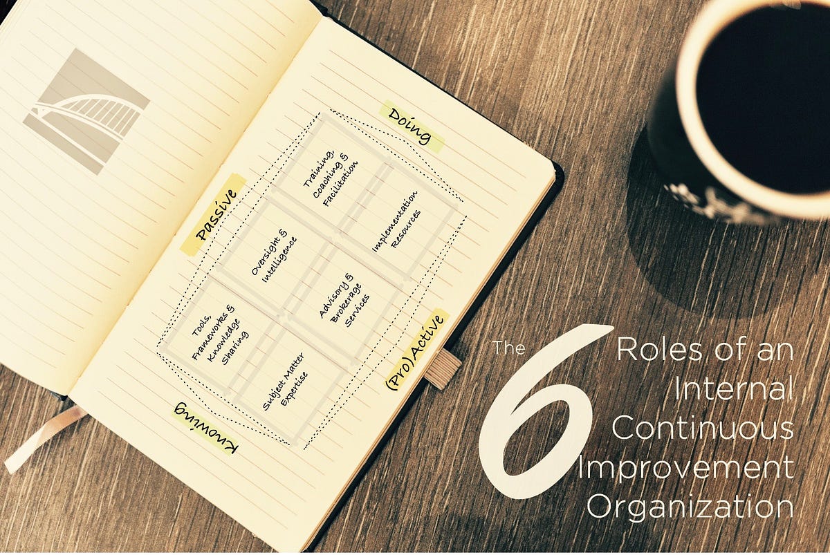 The Six Roles of an Internal Continuous Improvement Organization | by ...