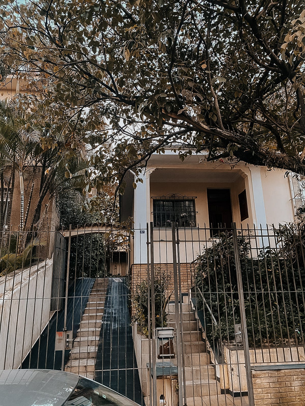 Coisas que a gente não sabe. Procuro uma palavra enquanto minhas… | by Marcelle Cerutti ...