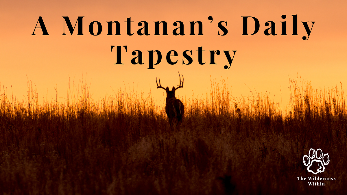 A Montanan’s Daily Tapestry. Experience a tranquil Montana dawn… | by Chris Essey | Jan, 2025 ...