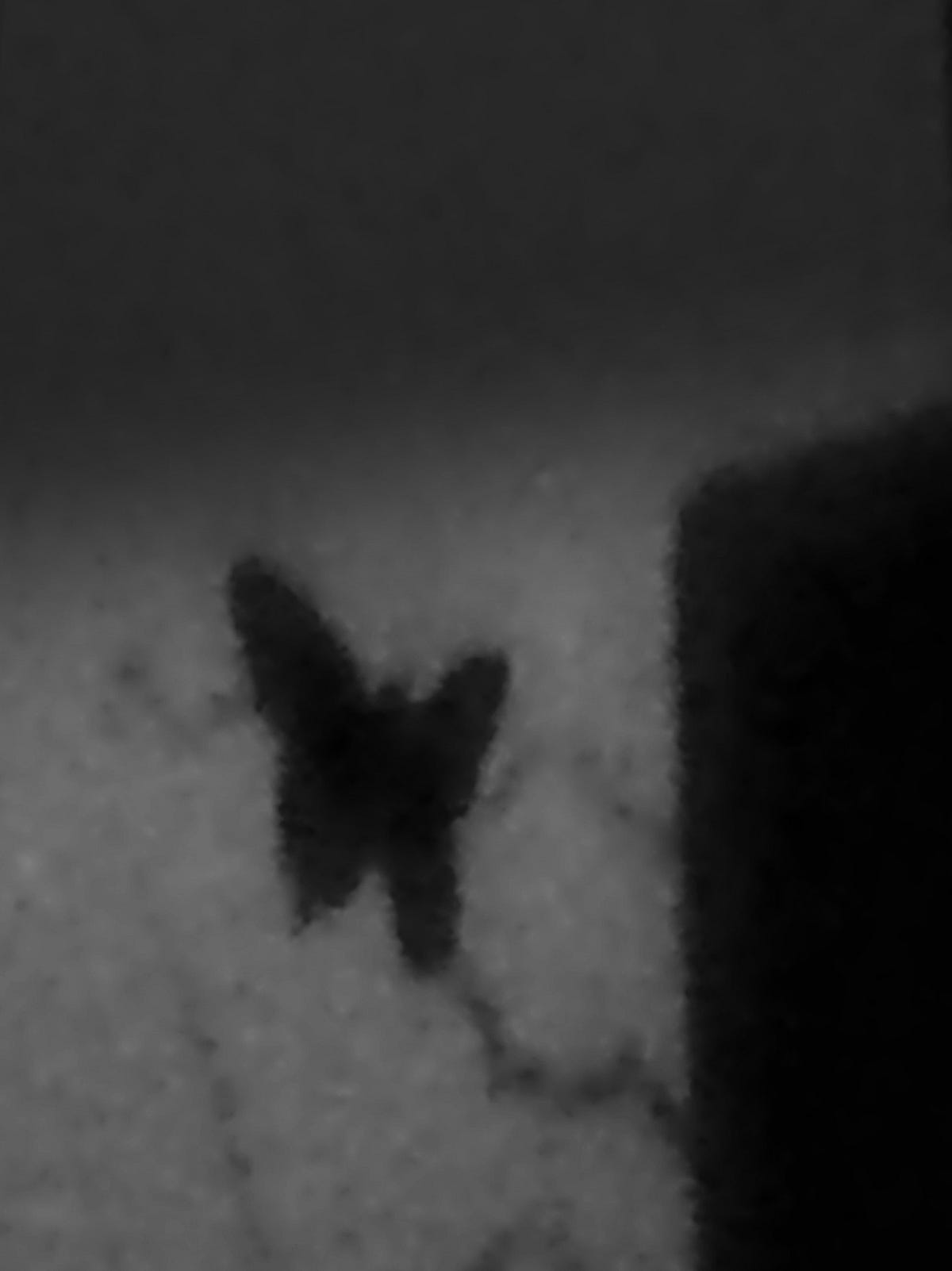 Shadow Song. You follow me around I’d be lost… | by Kathleen ...
