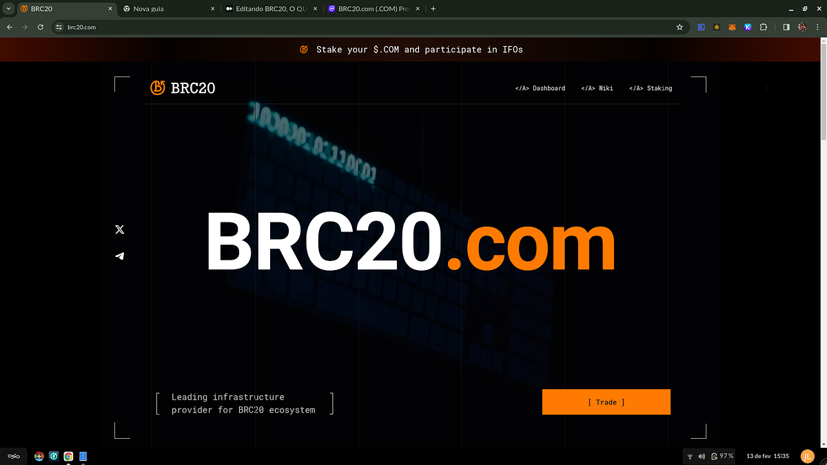 BRC20, WHAT TO EXPECT FROM THE BITCOIN ECOSYSTEM. | by TOPGAINER $ CRYPTO HUNTER $ | Medium
