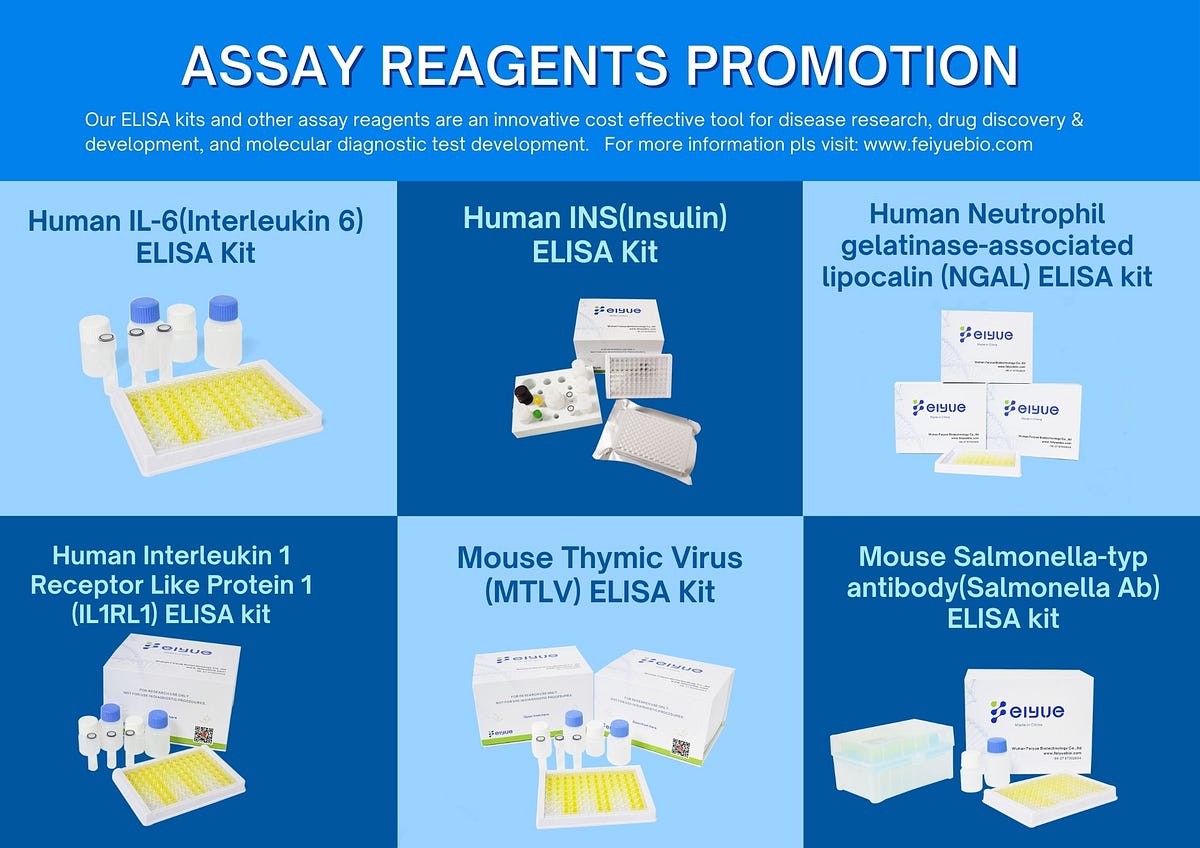 Canine Immunoglobulin G (IgG) ELISA kit | by feiyuebio Lottieshi | Medium