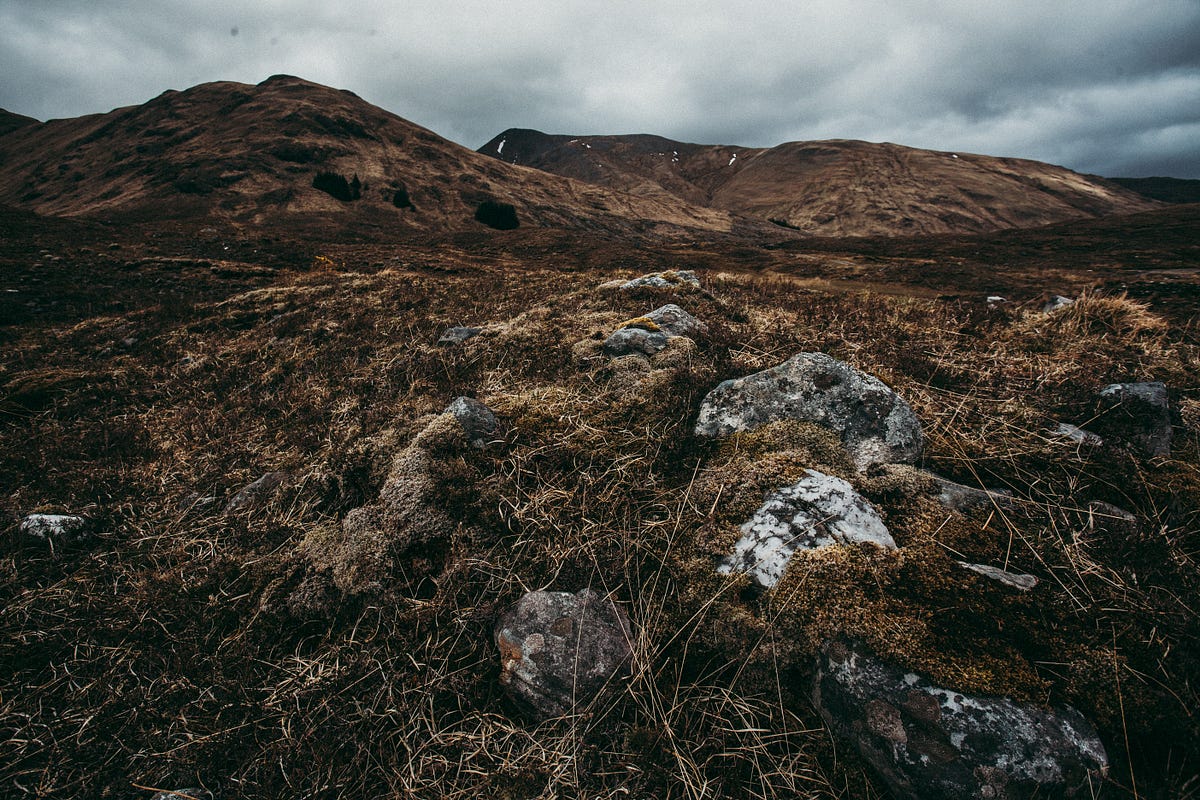 Autochthonous. what does it mean to come from the… | by Sarah Jeannine ...