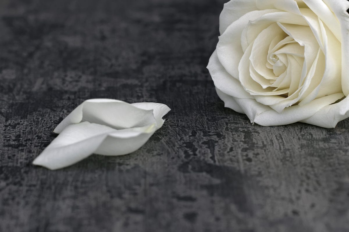 Your Loved One Died Too Young. Go ahead and grieve out loud. | by ...