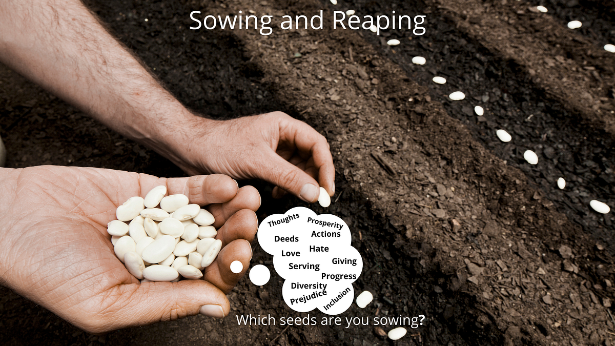 Sowing and Reaping: An Old Maxim That Produces Positive Results | by ...