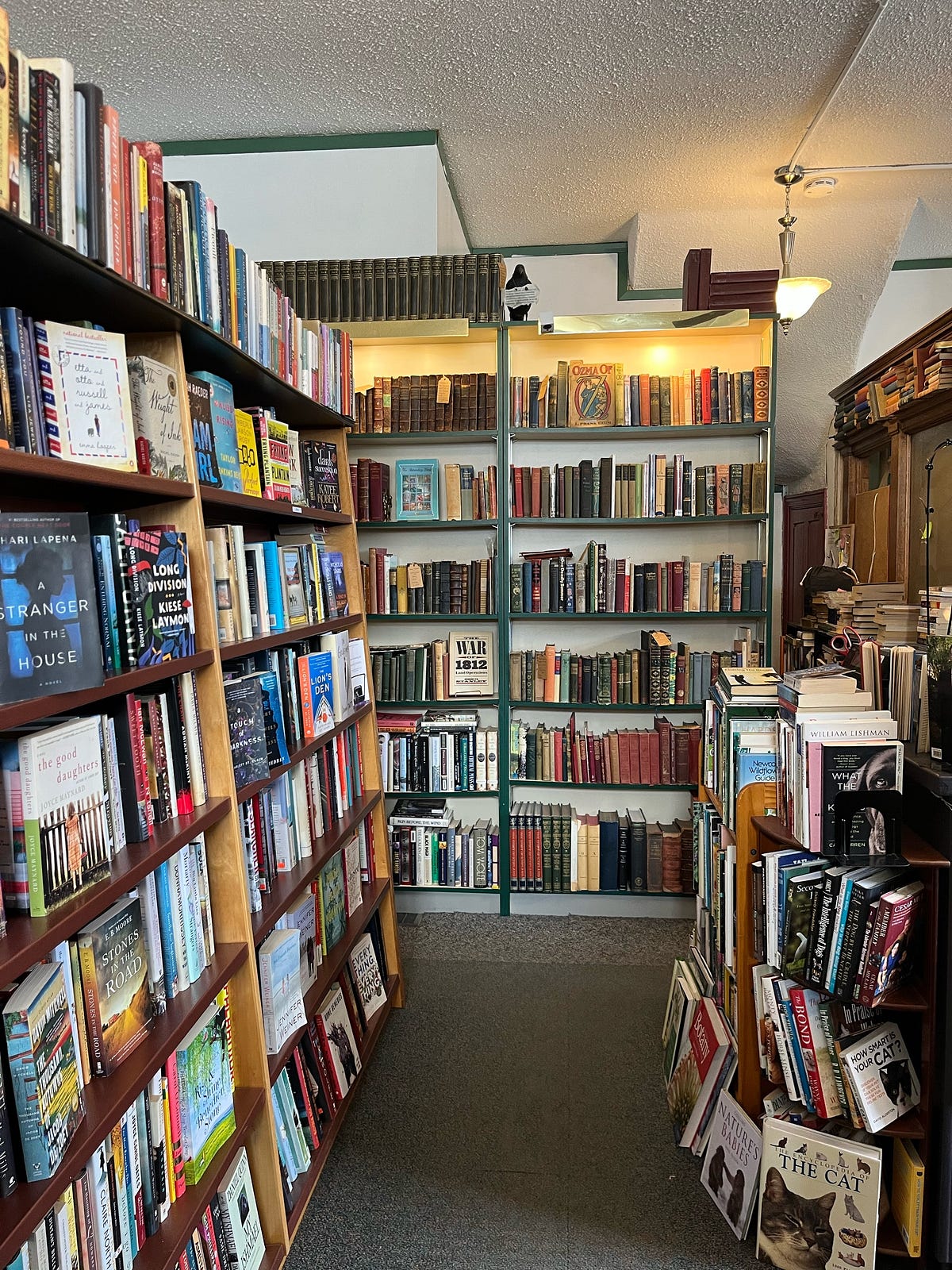 Reading is an Entertaining Hobby, but it is Also an Act of Politics ...