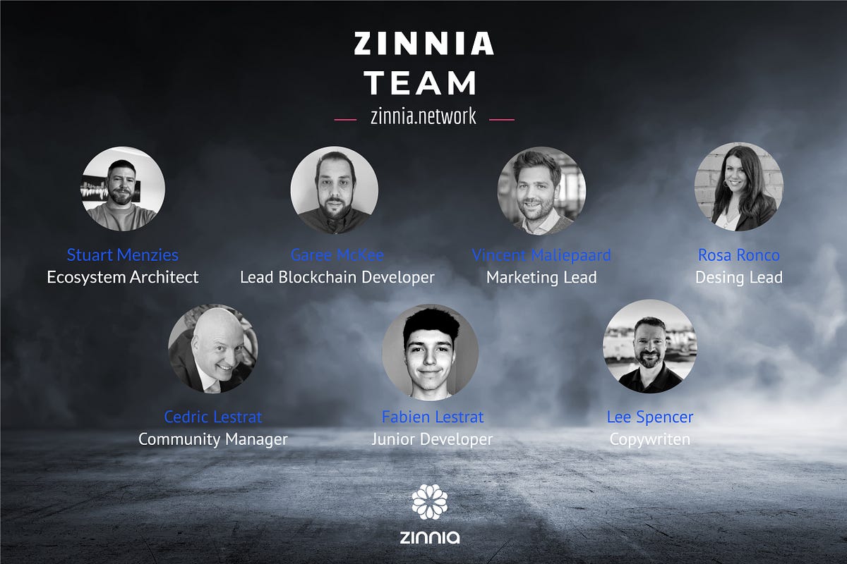 Team ZINNIA NETWORK. Hi friends. Today we will go over… | by Armen ...