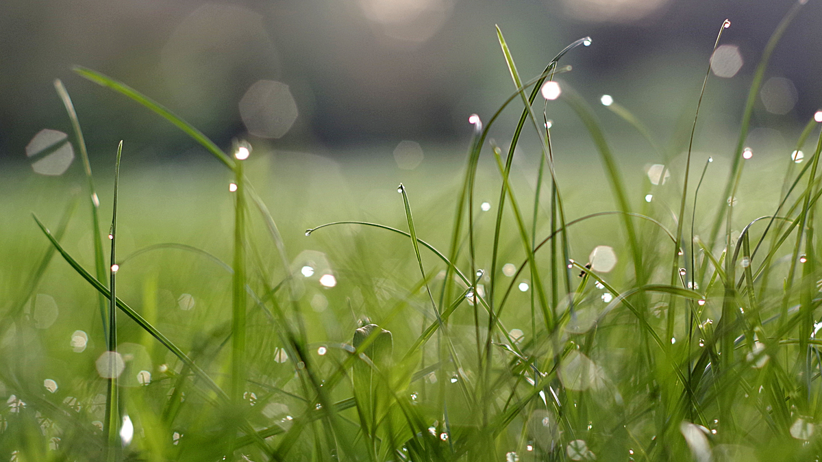 Slow Down with the Rhythm of the Rain | by Citlalli Micaela | Medium | Medium