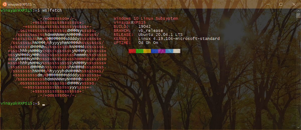 Getting started with Linux using Windows Subsystem for Linux | by Vinayak Tekade | Coder’s ...