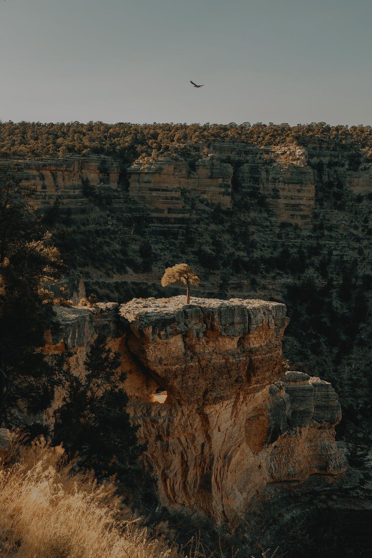 Virtual Tours and Trips Worth Exploring | by Mike Wilson | AR/VR ...