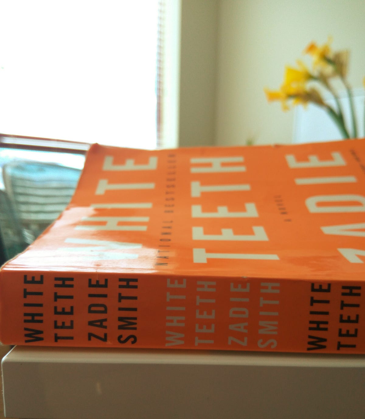 Flash Review: White Teeth, by Zadie Smith | by Sukriti | Medium