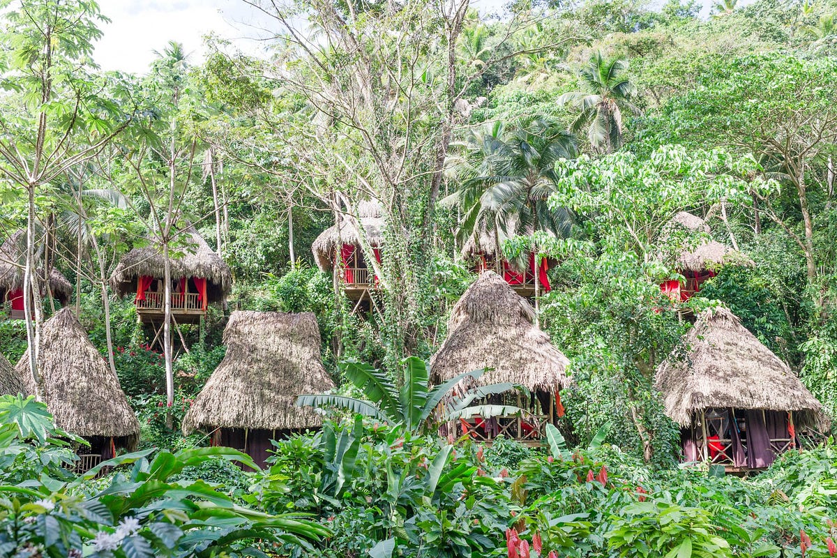 Dominican Tree house Village´´ The Unbelievable Eco-Lodge in The ...