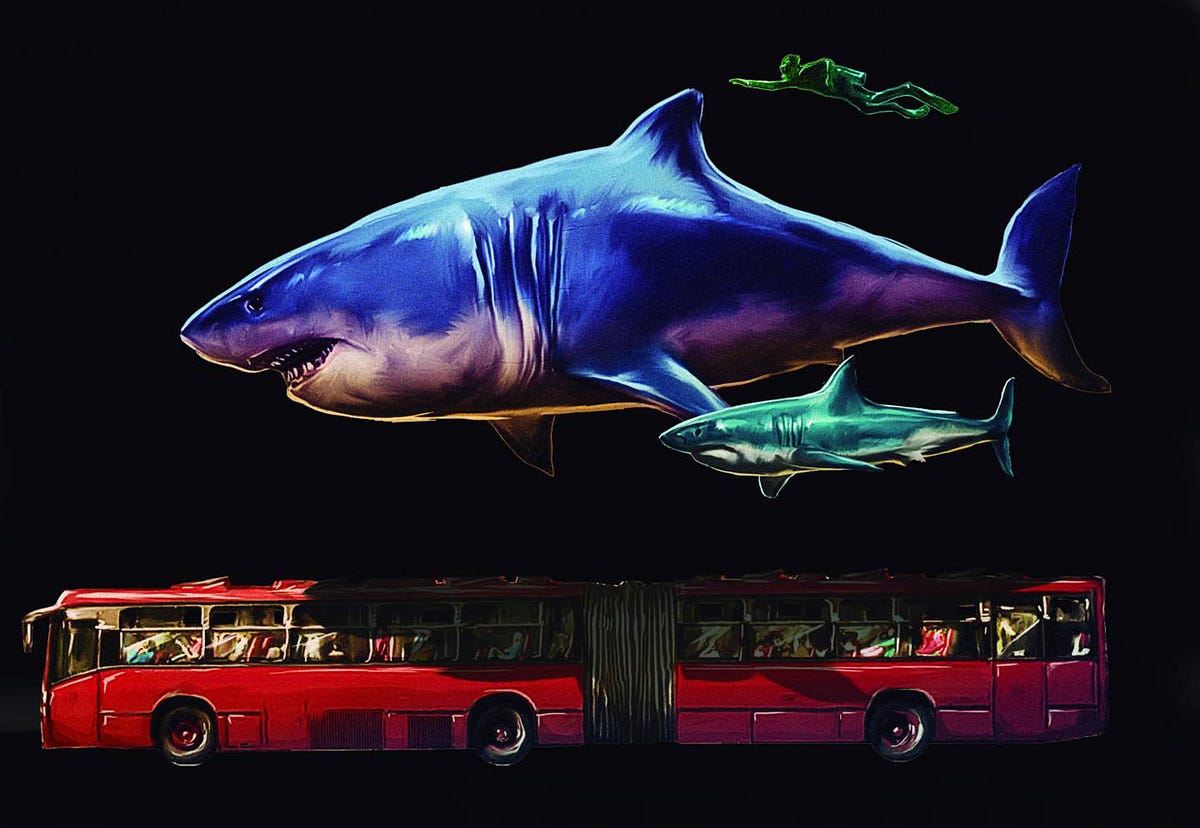 Why Did Megalodon Go Extinct?. The giant shark Megalodon, which grew ...