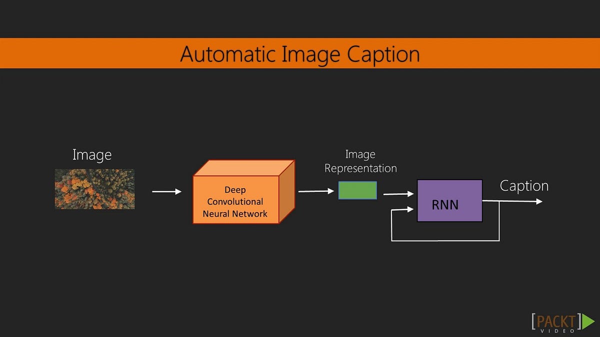 Image Captioning In Python With Keras By Bhavesh Wadhwani The Startup Medium