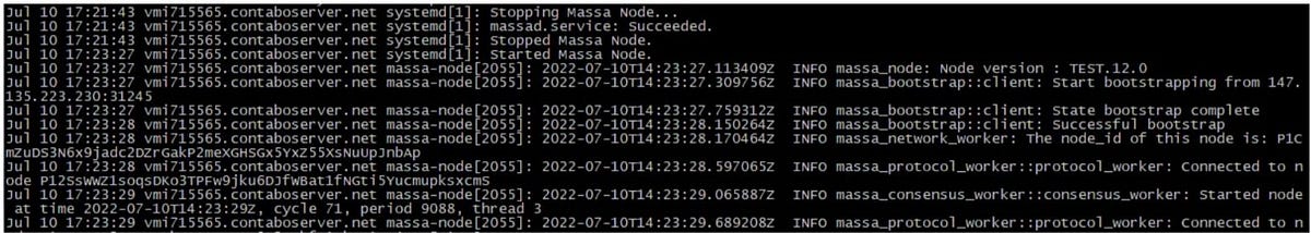 Installing the Massa node. Installing the node | by Hamed Hyper | Medium