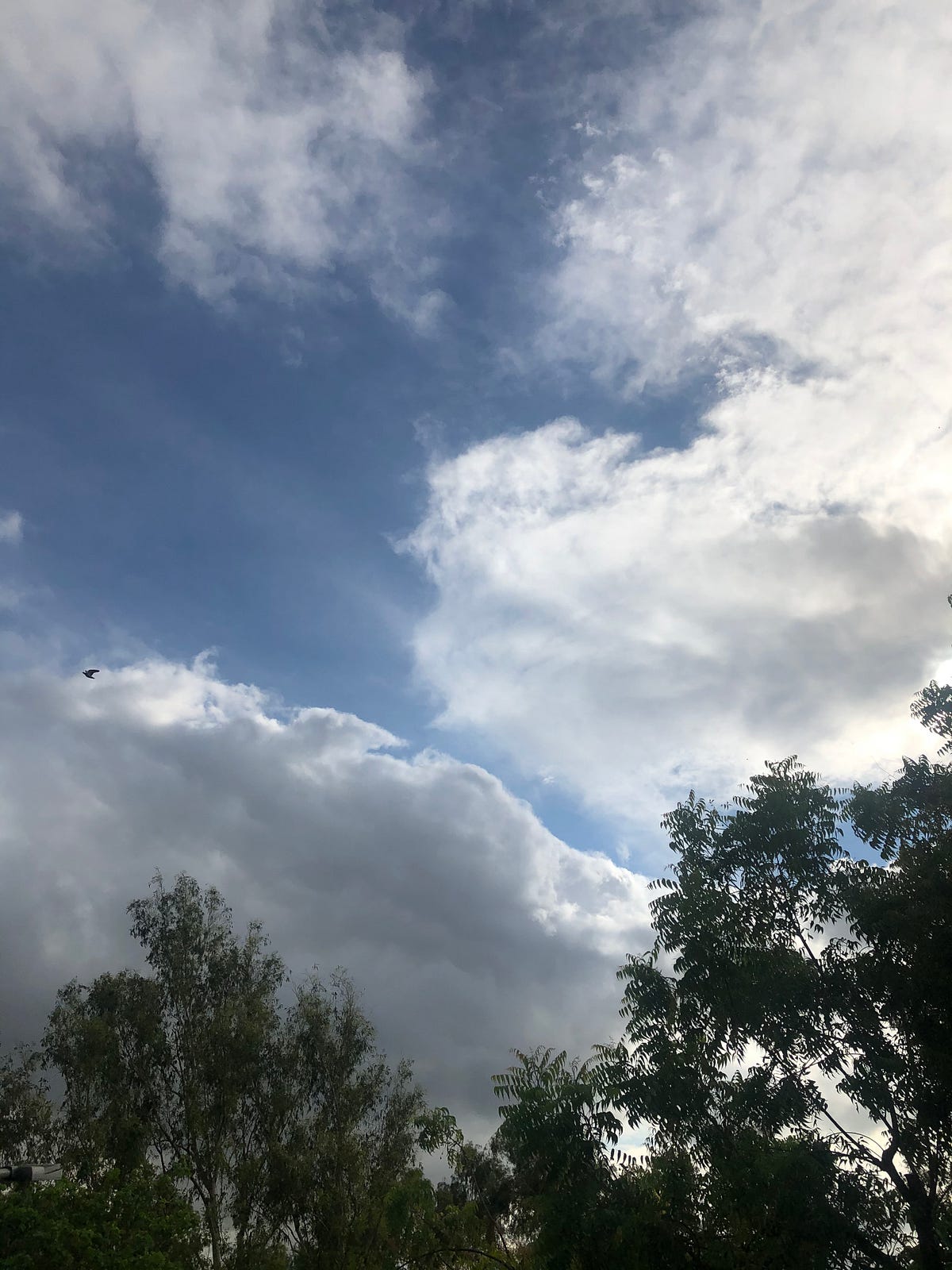 Three blessings exercise. Like we do physical exercise for our… | by ...