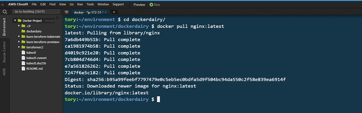How to build a Docker Image and Host a Static Website and Save the Container and Image to AWS ...
