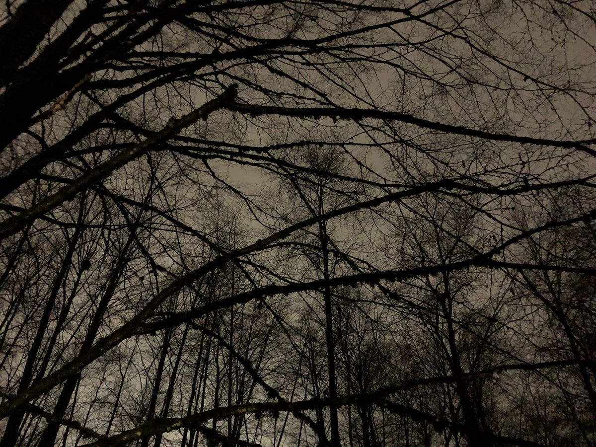 Haiku 351 — a triptych - Writers on Fire - Medium