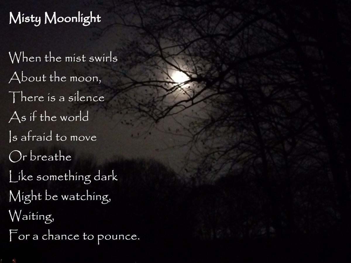 Poetry: Misty Moonlight. It sets the scene, doesn’t it? | by K R Smith ...