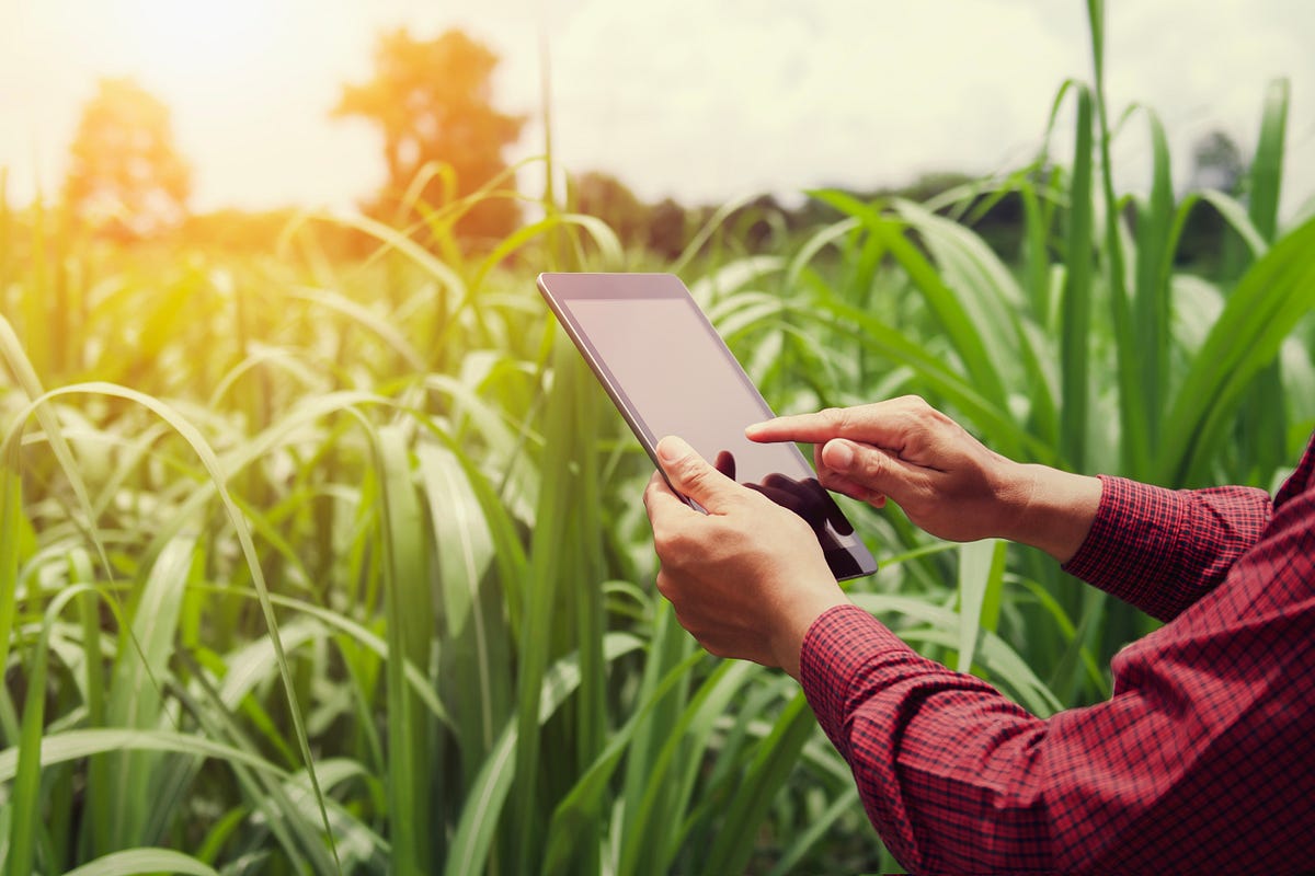 The Growth of AgriTech Startups: Innovations Revolutionizing the ...