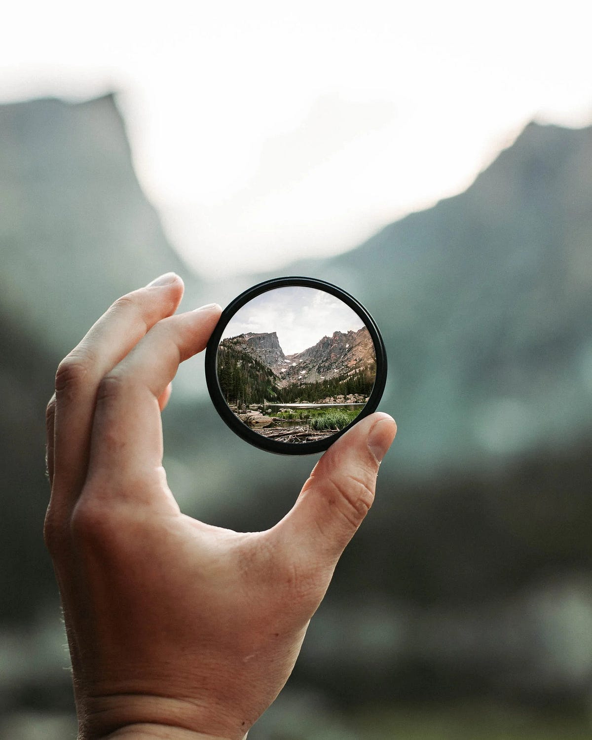 Finding Clarity Amidst Complexity: Balancing the Art of Zooming In and ...
