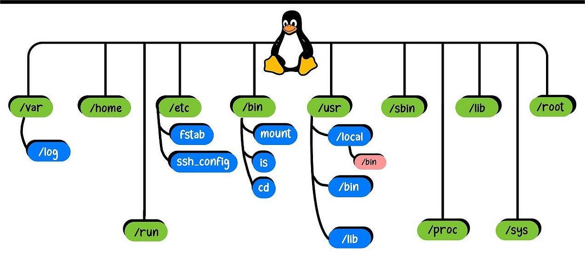 Linux File System Hierarchy: A Beginner’s Guide to Understanding Linux Directory Structure 📁 ...