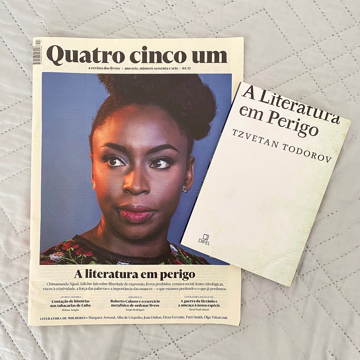 O risco da literatura em perigo. Em tempos de supremacia digital com a ...