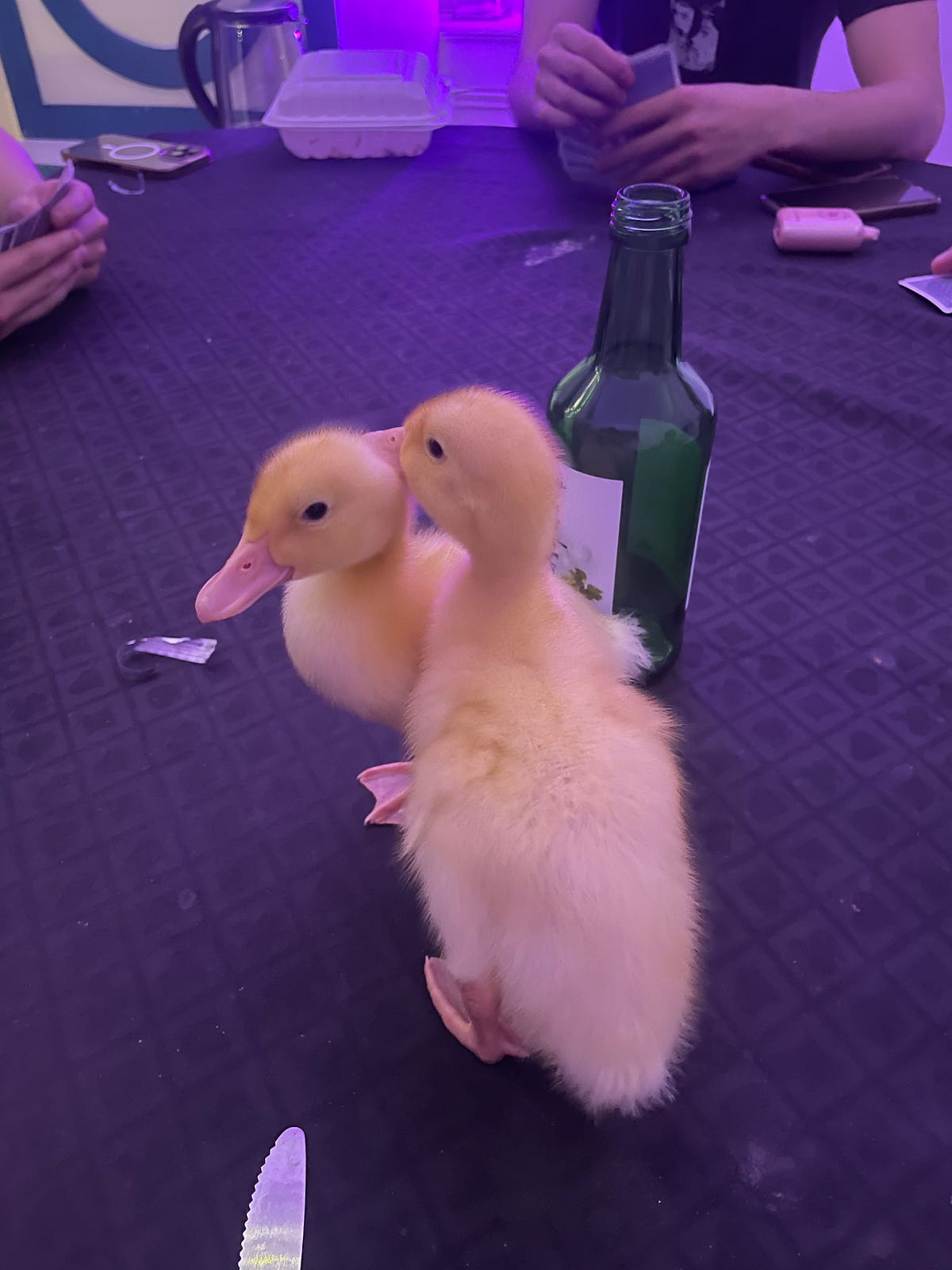 My Life Update. So a couple of weeks ago my friends and… | by Alexis ...