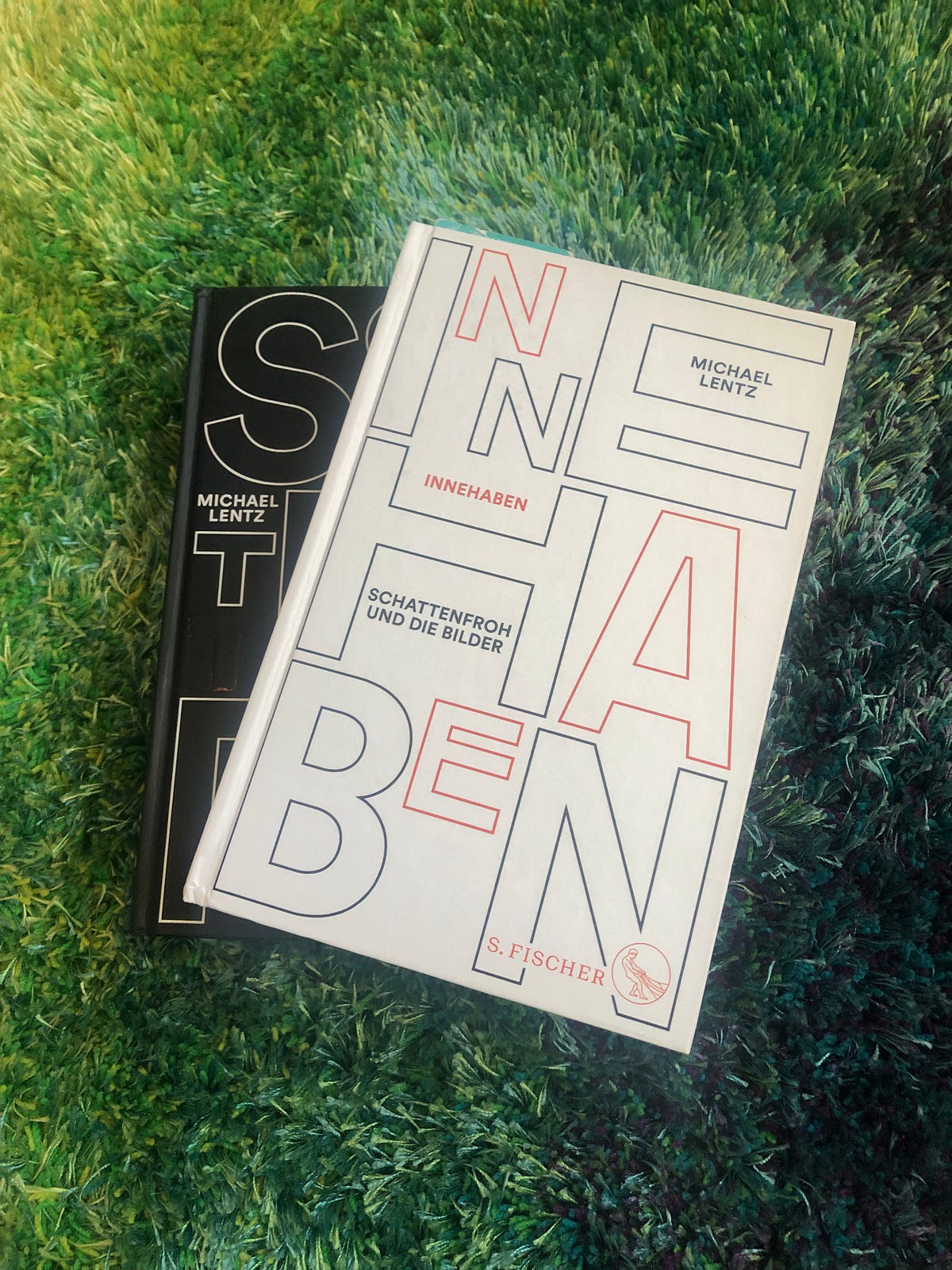 On Michael Lentz’s “Innehaben”, a companion piece to “Schattenfroh” | by tom_ghostly | Medium