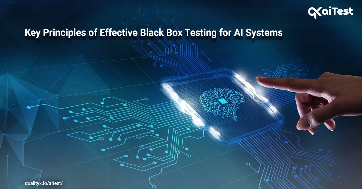 Key Principles of Effective Black Box Testing for AI Systems | by ...