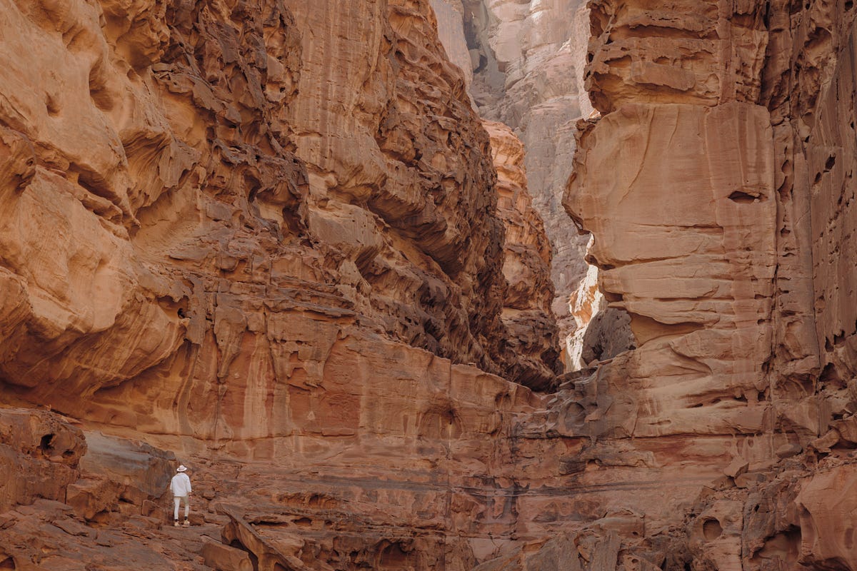 Finding Focus and Attention in Nature: Harnessing the Power of the Outdoors | by Focus Labs ...