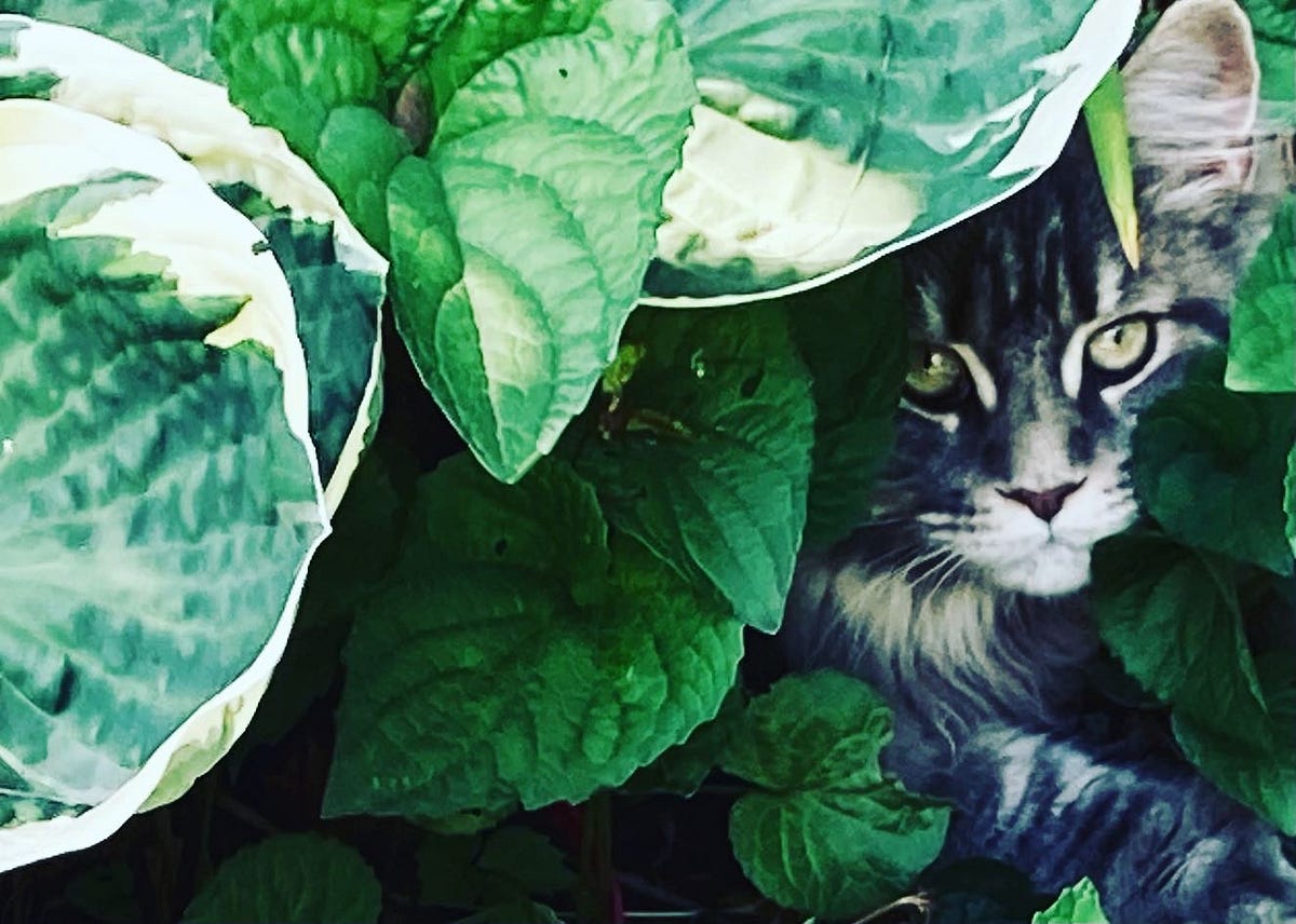 Photography as Inspiration. Never Forget What Brings You Joy | by Emily ...