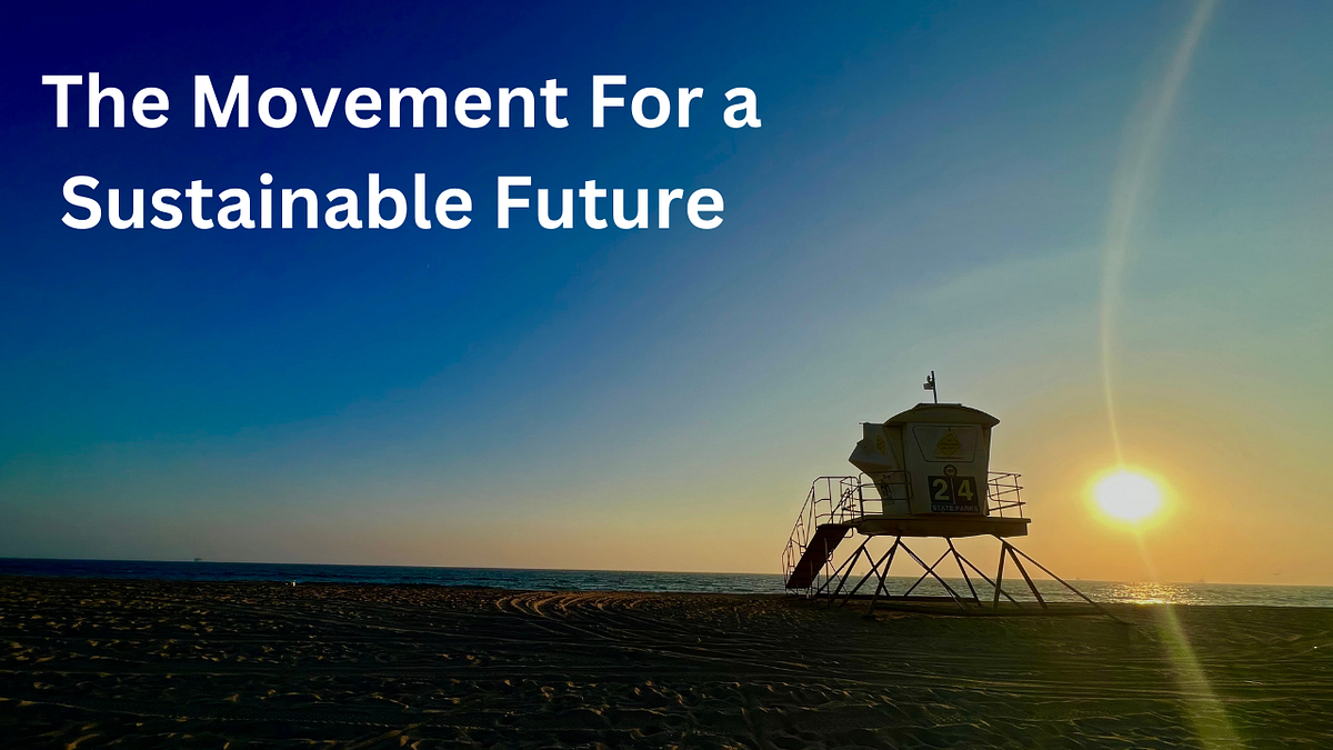Building a Brighter, Cleaner Tomorrow | by Mr. Turtle | Dec, 2024 | Medium