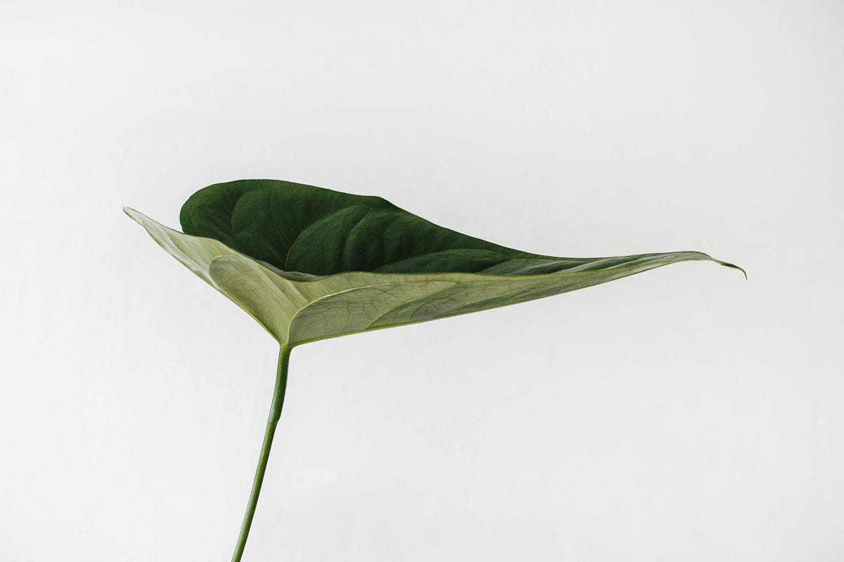 The Discipline of Simplicity. Wealth building is more than just… | by ...