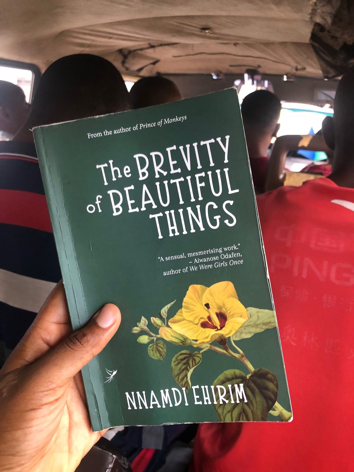 The Brevity of Beautiful Things by Nnamdi Ehirim, A Book Review. | by ...